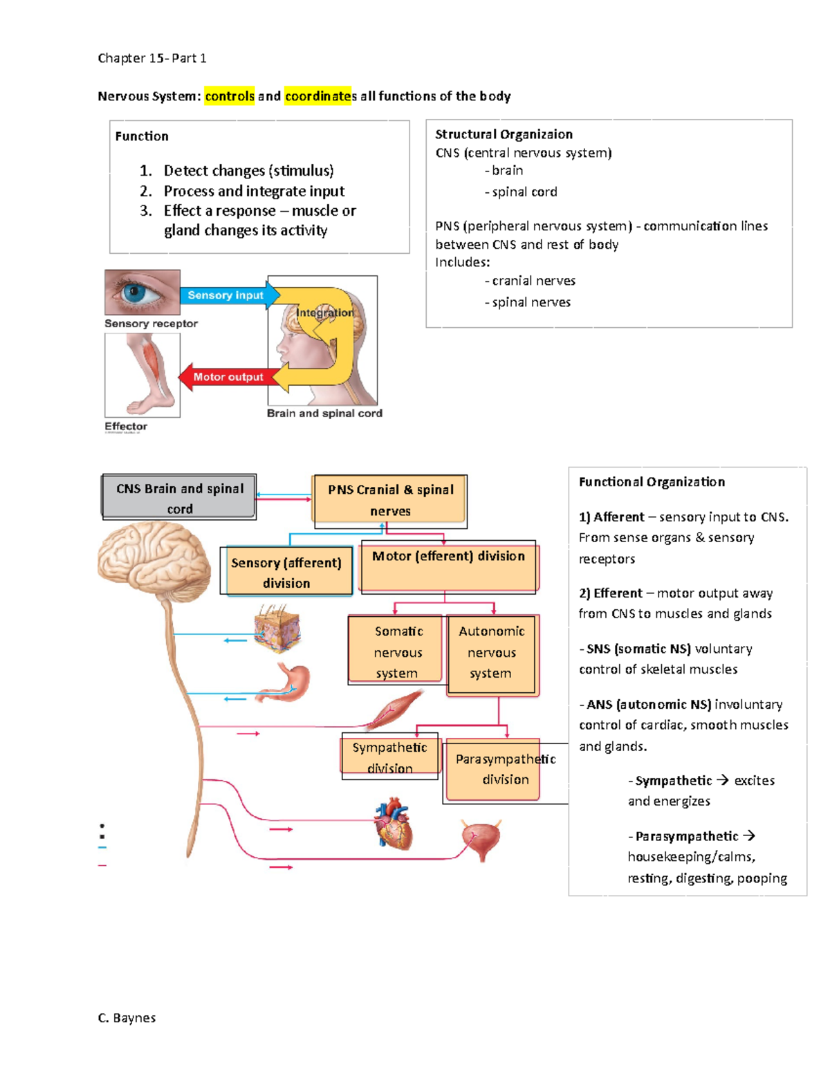 Genetics summary notes genetic summary notes genetic summary notes ...