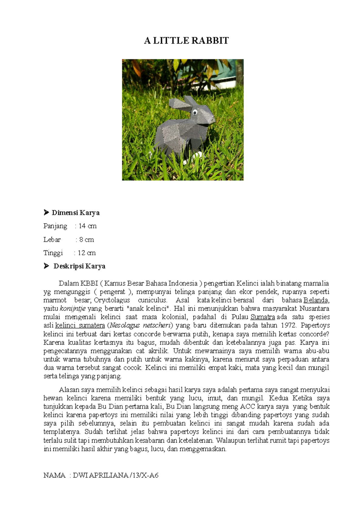 A Little Rabbit DWI Apriliana - A LITTLE RABBIT Dimensi Karya Panjang ...