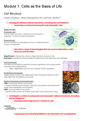 1c. Cell Cycle to Annotate - G2 S M G1 G2 S M G1 - Studocu