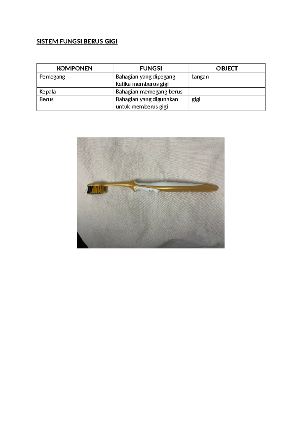 Sistem Fungsi Berus GIGI - Reka Bentuk dan Inovasi - SISTEM FUNGSI ...
