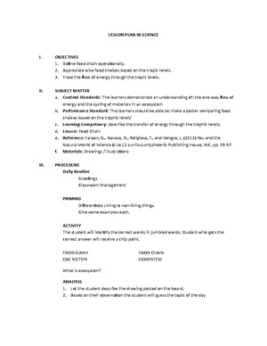 Detailed Lesson plan Rock Cycle - Detailed Lesson plan Subject: Earth ...