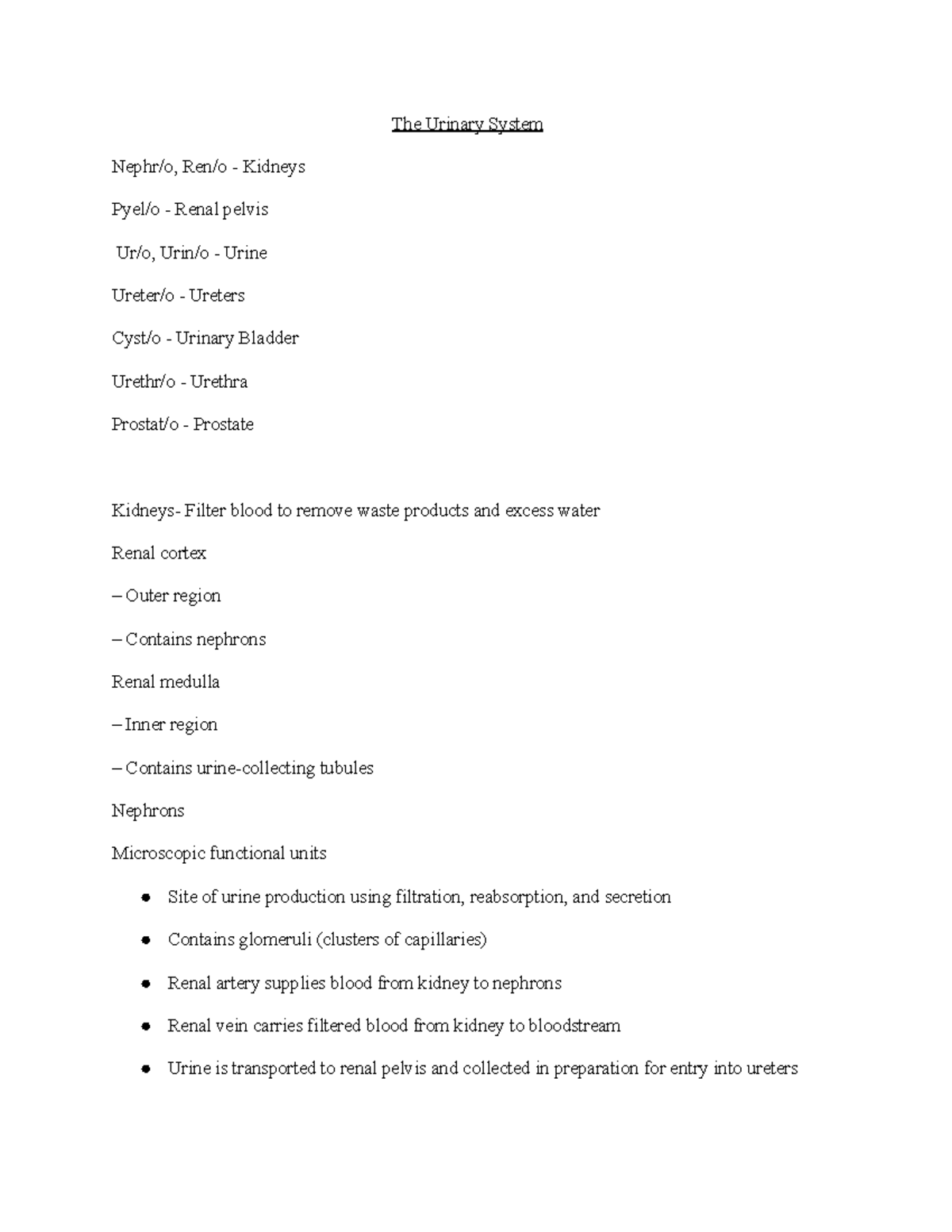 The Urinary System - The Urinary System Nephr/o, Ren/o - Kidneys Pyel/o ...
