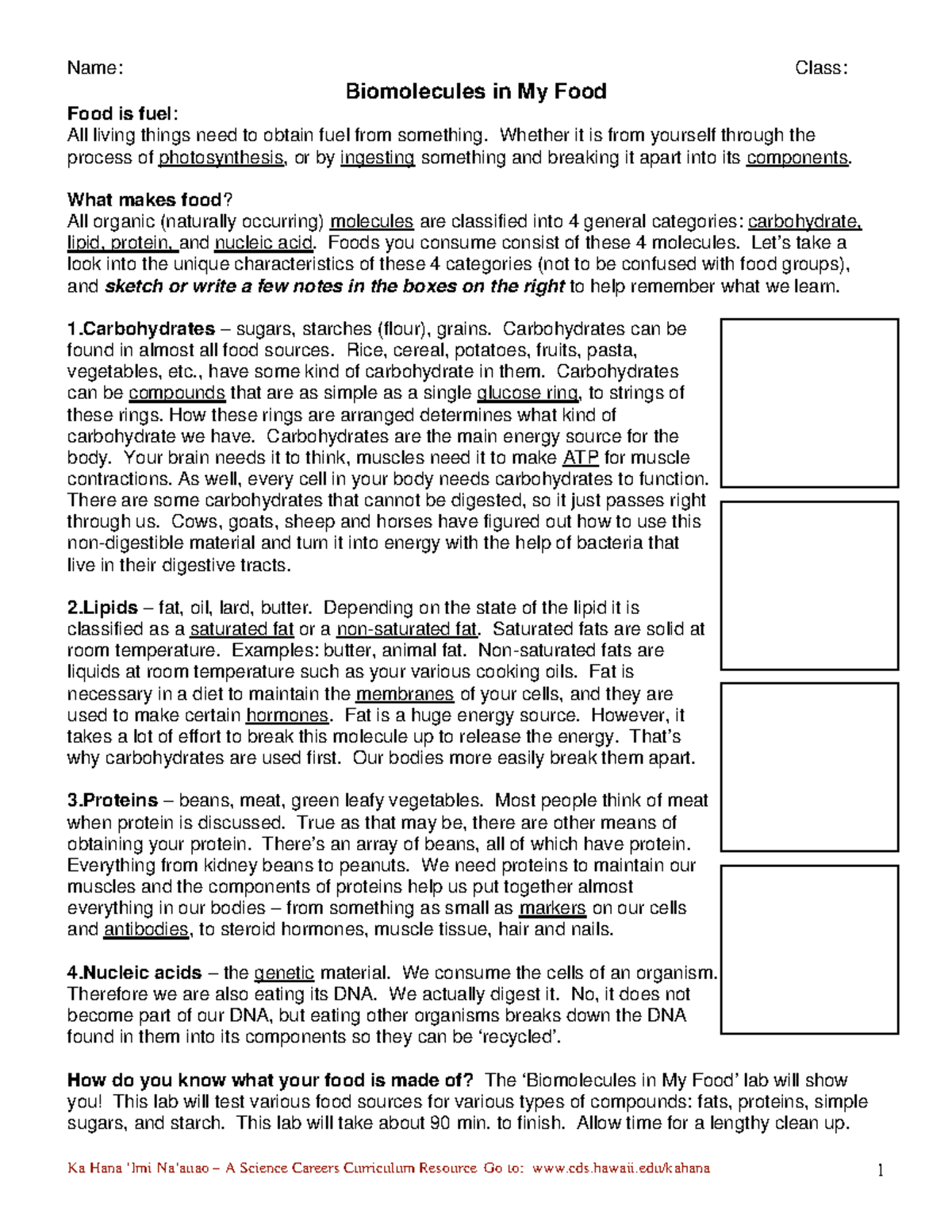 7 - Biomolecules in My Food Lab - Biomolecules in My Food Food is fuel ...