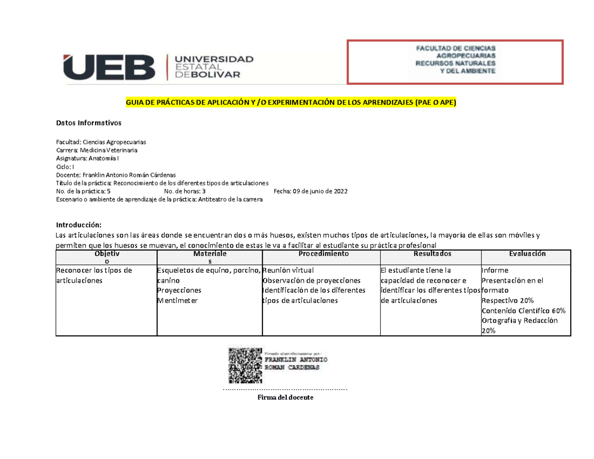Guía PAE 5 Anatomía - apuntes anatomia 3 - GUIA DE PRÁCTICAS DE ...