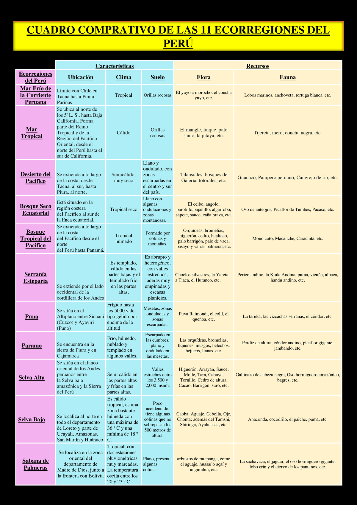 Cuadro Comparativo DE LAS 11 Ecorregiones DEL PERU Caracter sticas