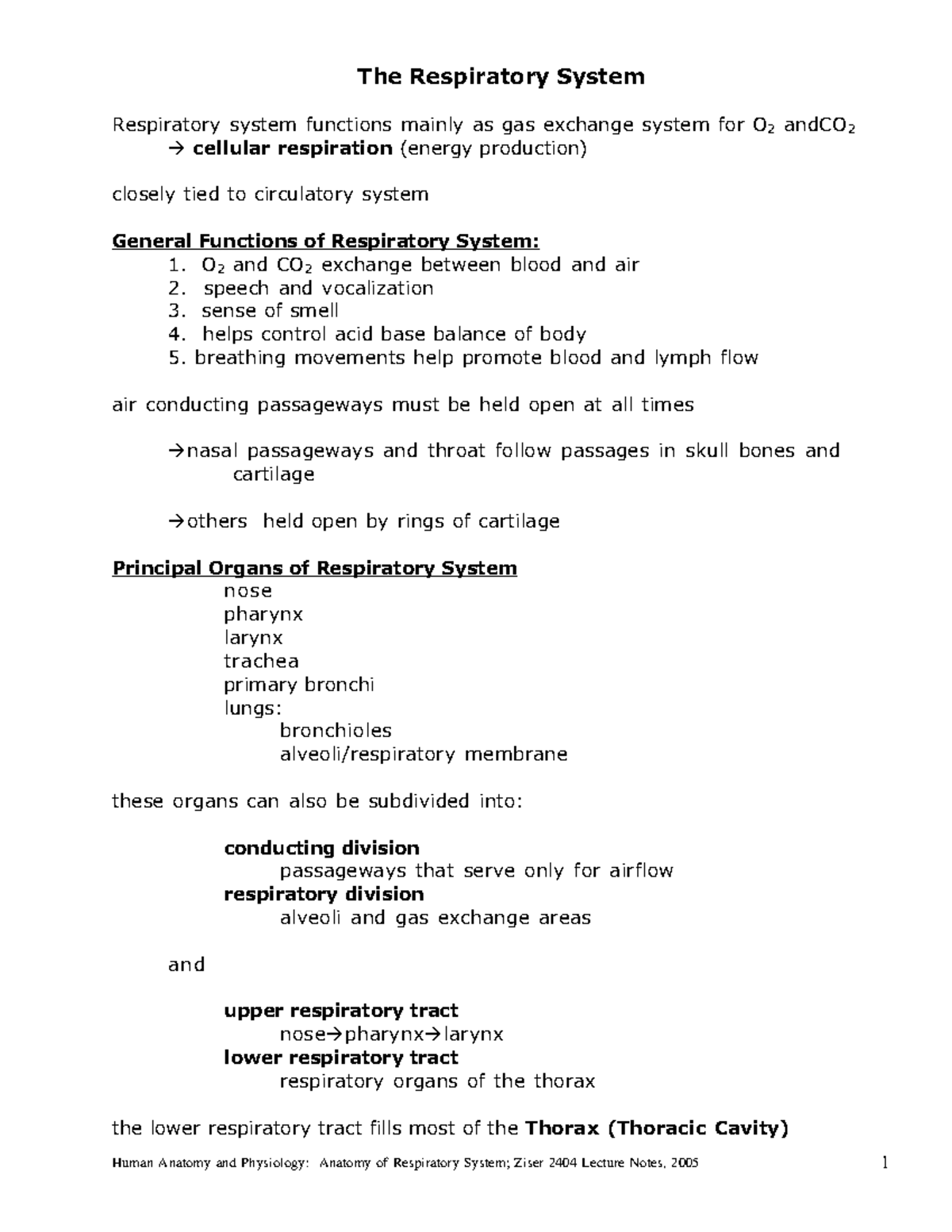 Anatomy of Resp Syst - lesson - The Respiratory System Respiratory ...