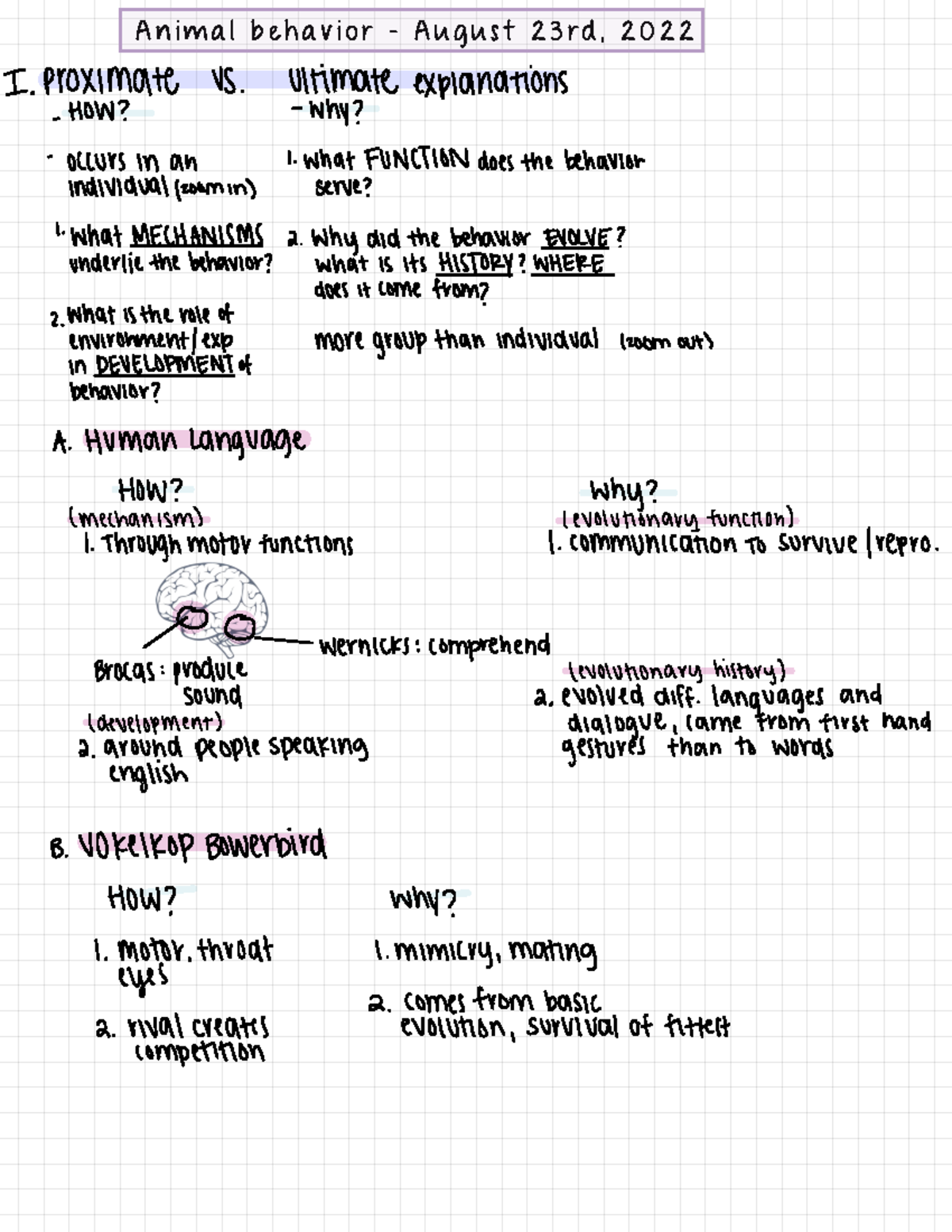 Animal Behavior proximate and ultimate explanations - Animal behavior ...