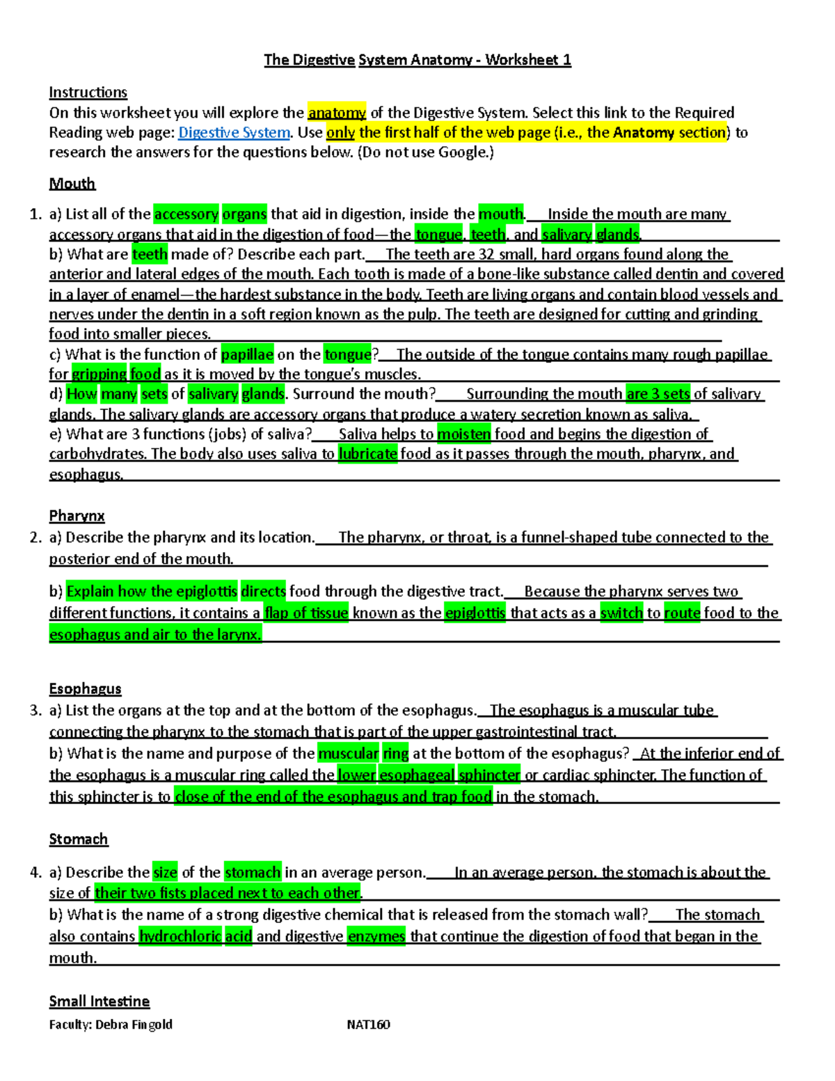 The Digestive System Anatomy - Worksheet 1 - Select this link to the ...
