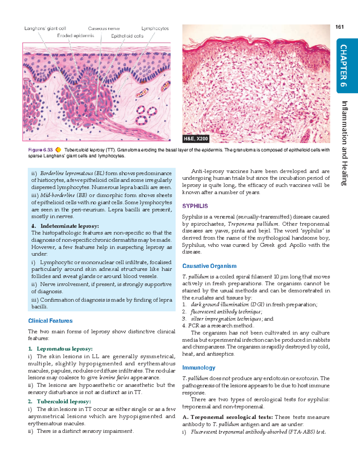 9 - Syphilis of pathophysiology by pee vee - 161 CHAPTER 6 Inflammation ...