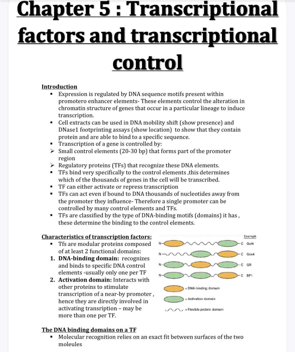 Chapter 5 PDF transcriptional factors and transcr… - Bio 1643 - Studocu