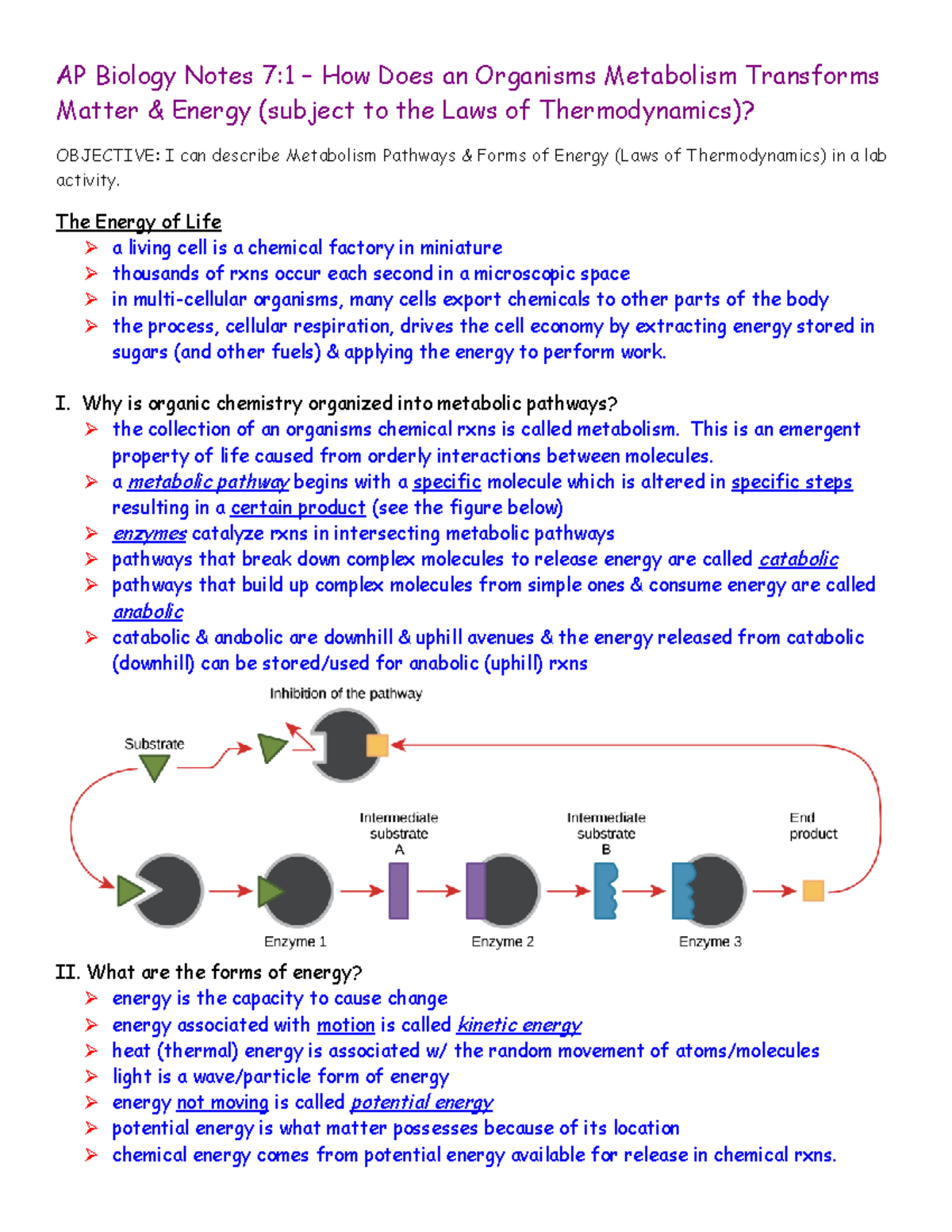 Notes 7.1 on the metabolic pathways - AP Biology Notes 7:1 – How Does ...