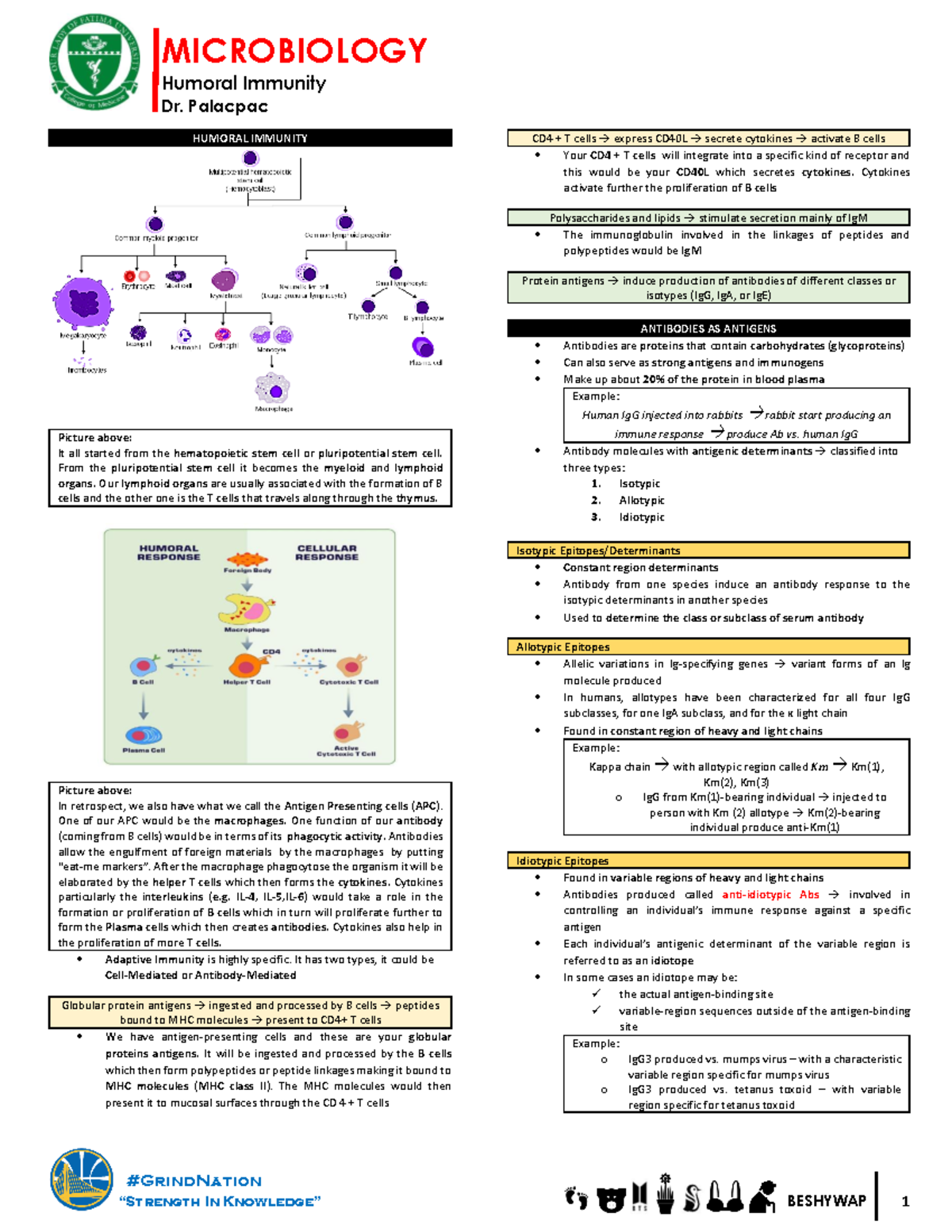 Microbiology 7 - microbio notes - Humoral Immunity Dr. Palacpac # ...