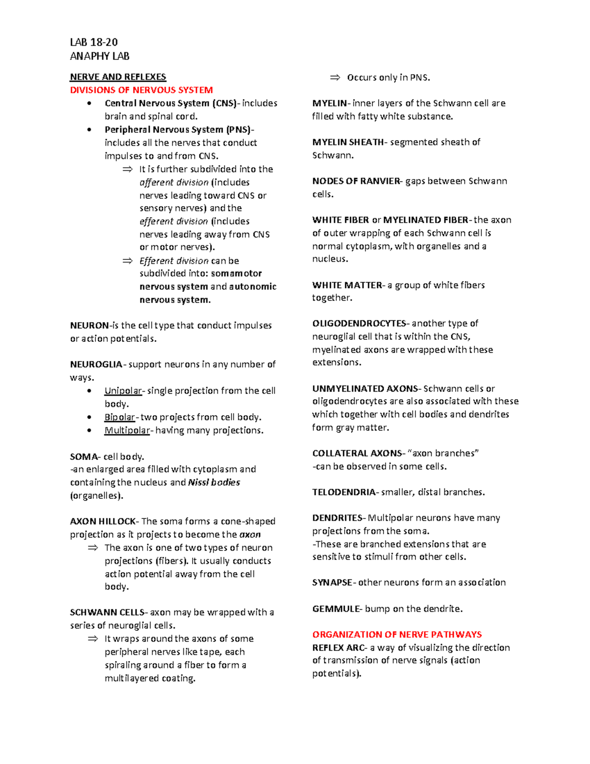 Nerve & Reflexes (Lab) - ANAPHY LAB NERVE AND REFLEXES DIVISIONS OF ...
