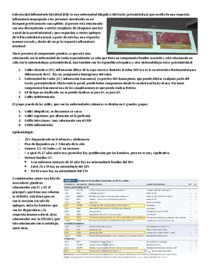 Traje Antichoque - CODIGO ROJO - TRAJE ANTI SHOCK NO NEUMÁTICO (NASG ...