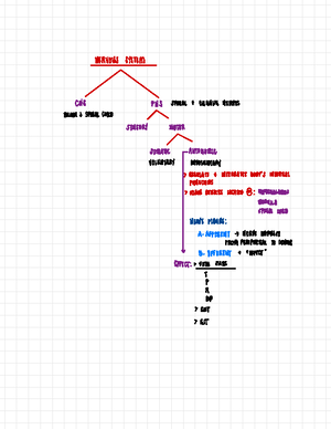 Pharma-Ppt - PADAYON - ####### AUTONOMIC ####### NERVOUS SYSTEM ...