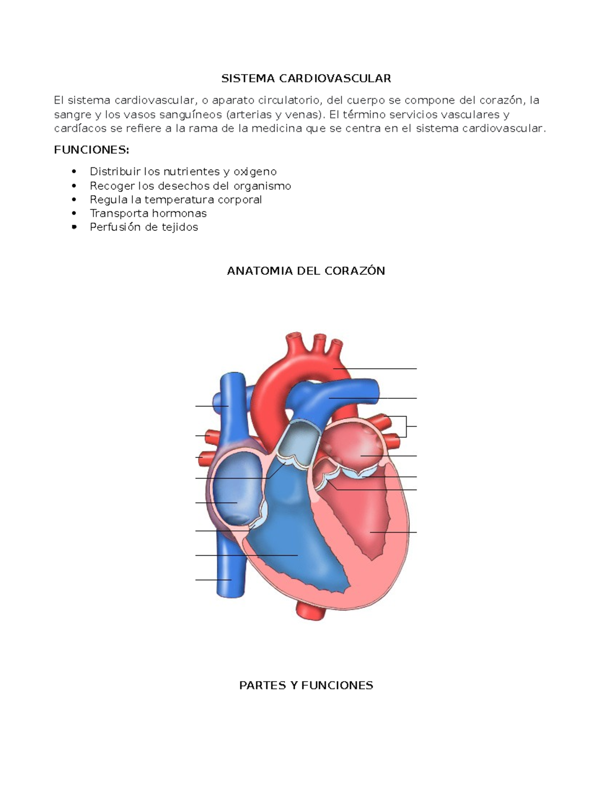 Sistema Cardiovascular Resumen - SISTEMA CARDIOVASCULAR El sistema ...