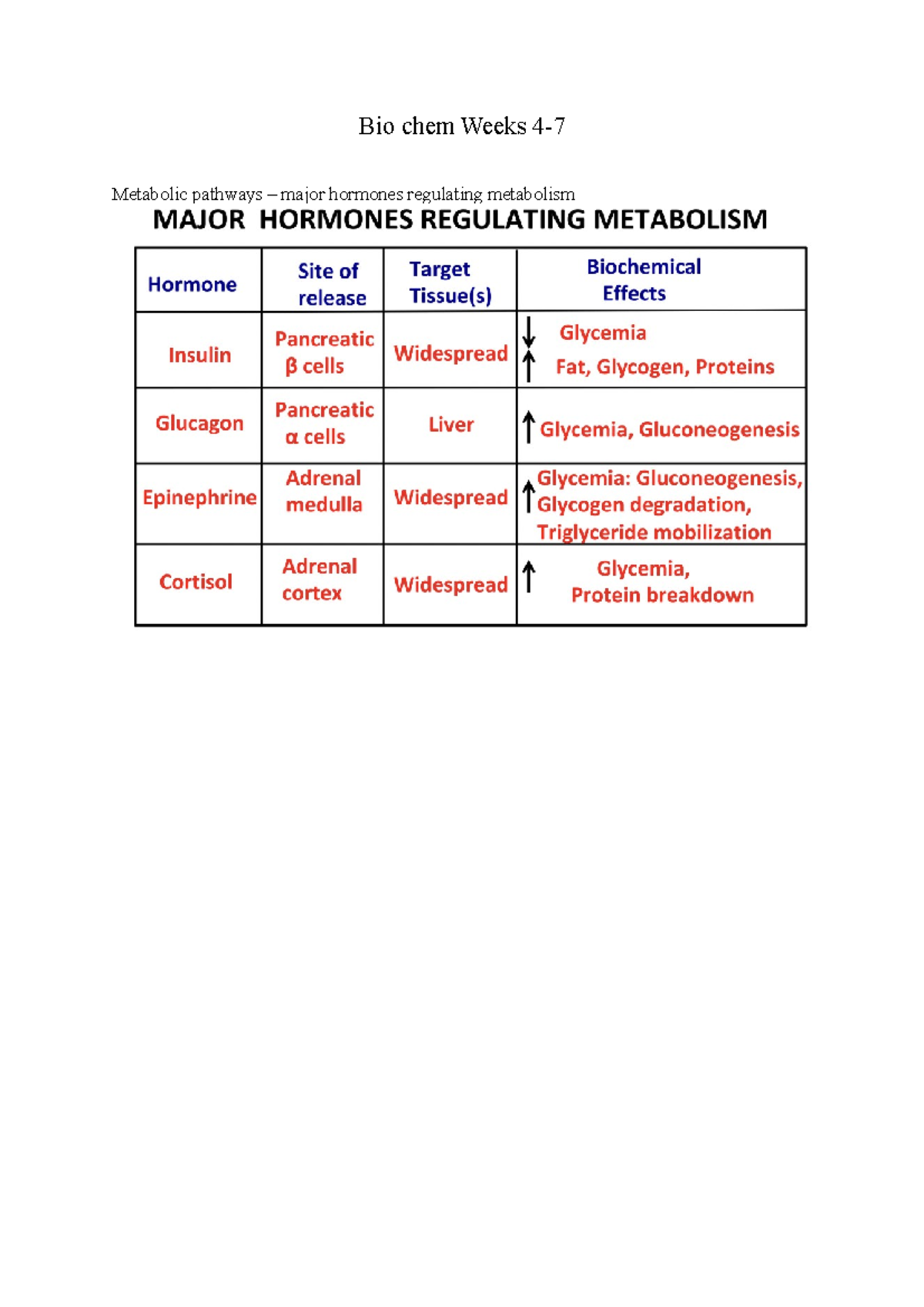 Biochem Metabolism summary - Bio chem Weeks 4- Metabolic pathways ...