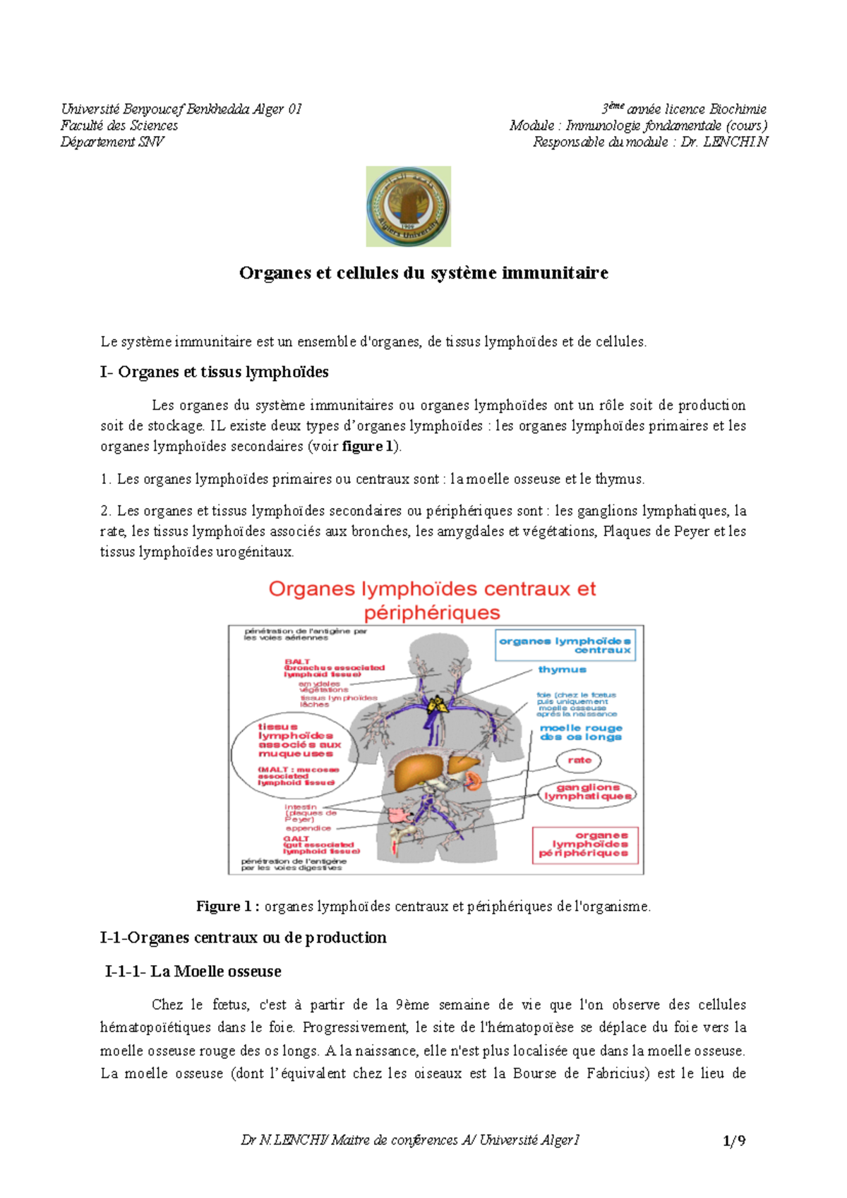 Cours 1. Cellules et organes du système immunitaire L3 Biochimie Dr ...