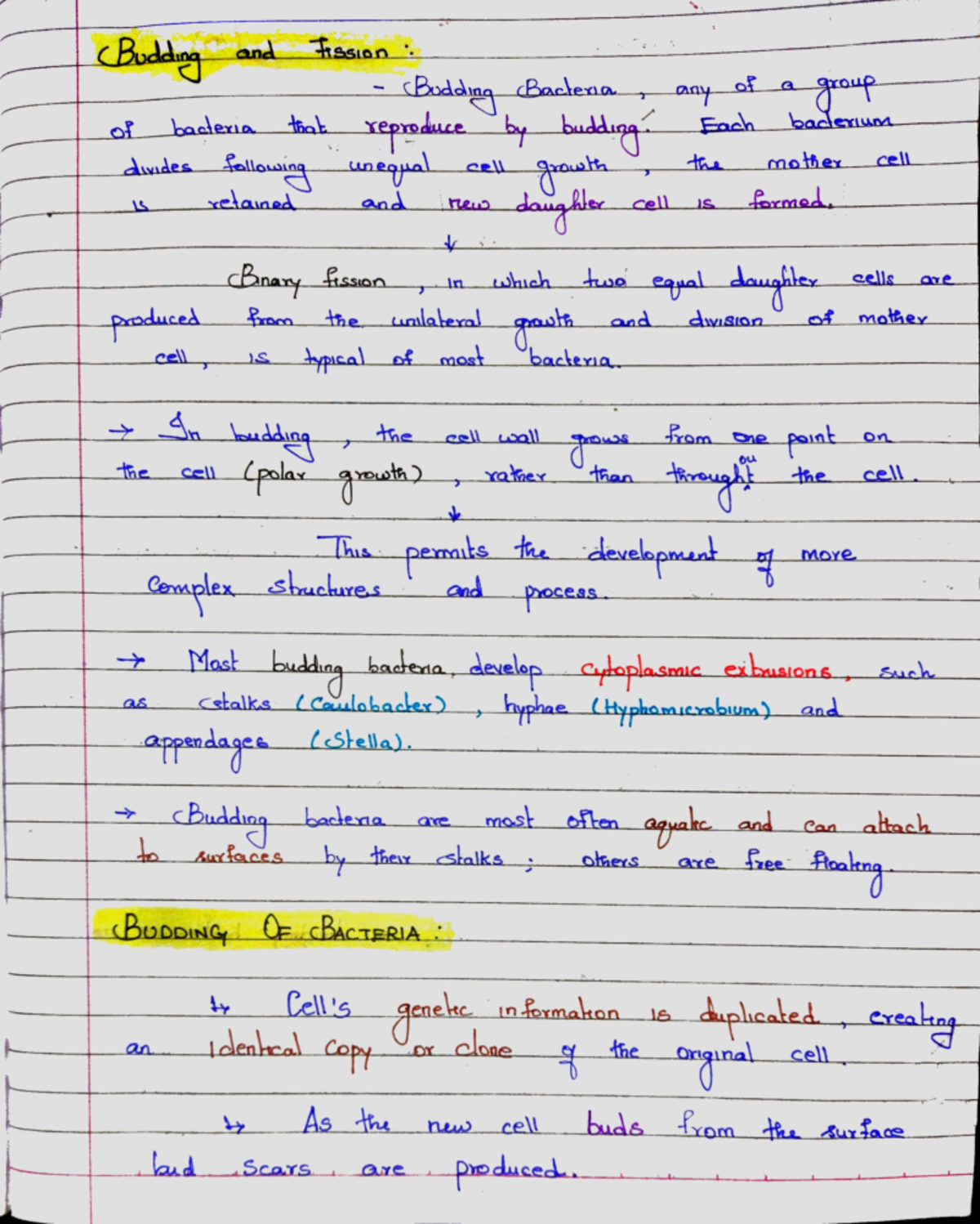 Budding And Fission - Life science - Studocu