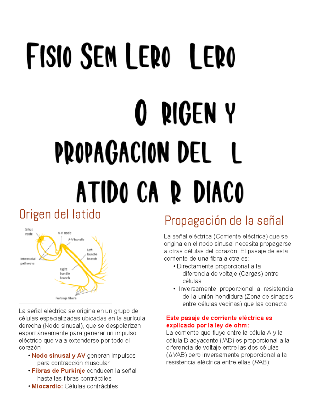 8. Propagación del Latido Cardiaco - Origen del latido La señal ...