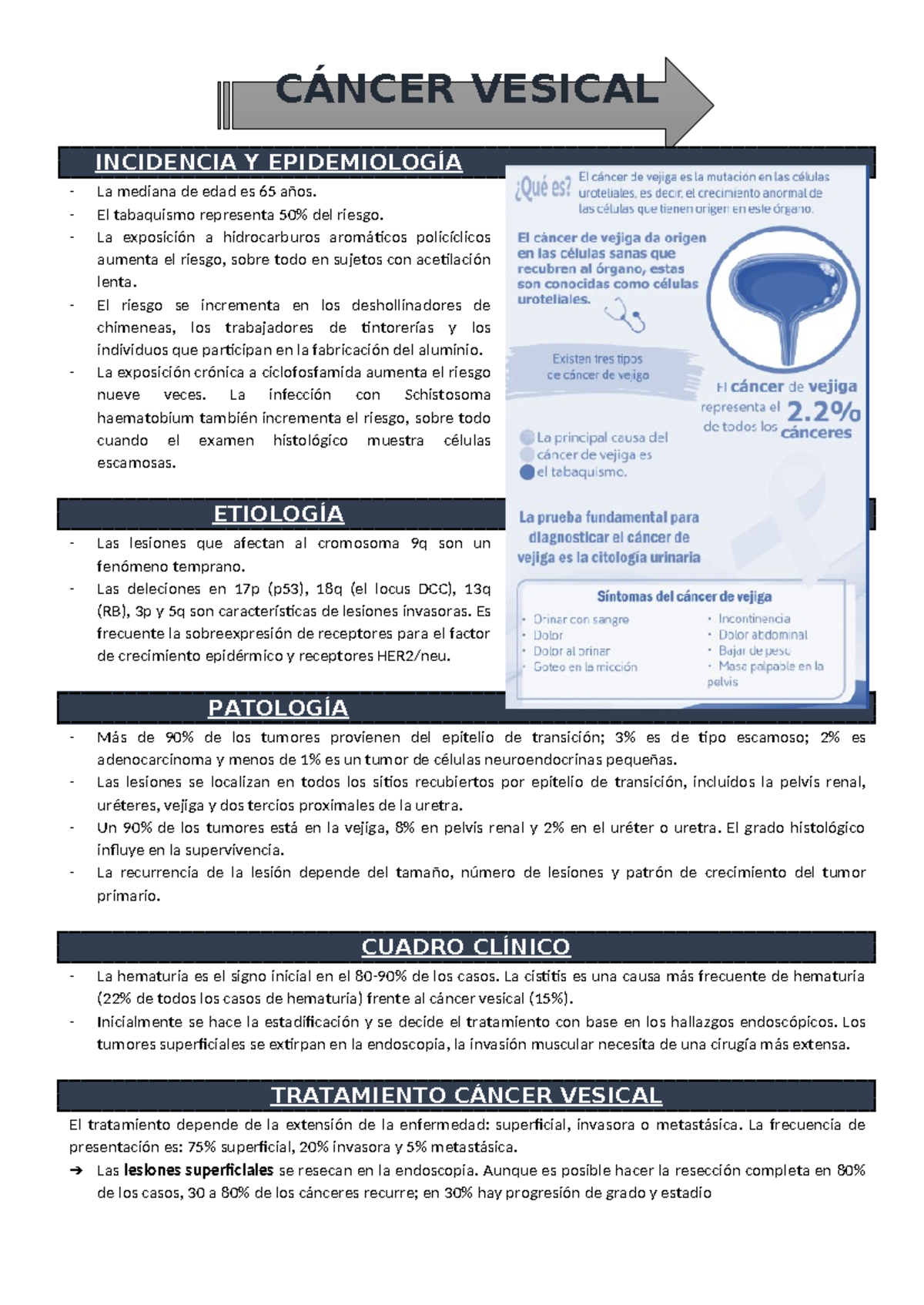 Cáncer Vesical - CÁNCER VESICAL INCIDENCIA Y EPIDEMIOLOGÍA - La mediana ...