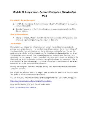 NUR2356 Module 02 Assignment - Module 02 Assignment- ATI Video Case ...