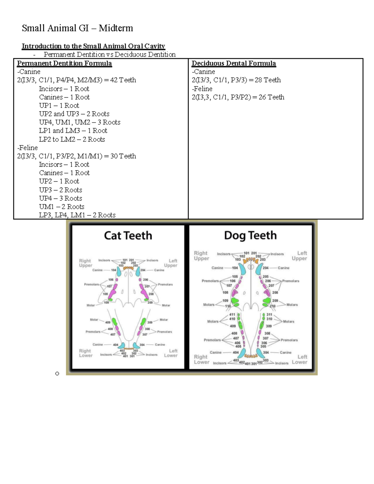 Small Animal GI - Midterm - Small Animal GI – Midterm Introduction to ...