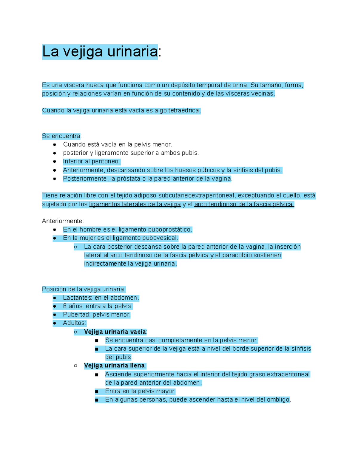 Vejiga urinaria - La vejiga urinaria: Es una víscera hueca que funciona ...