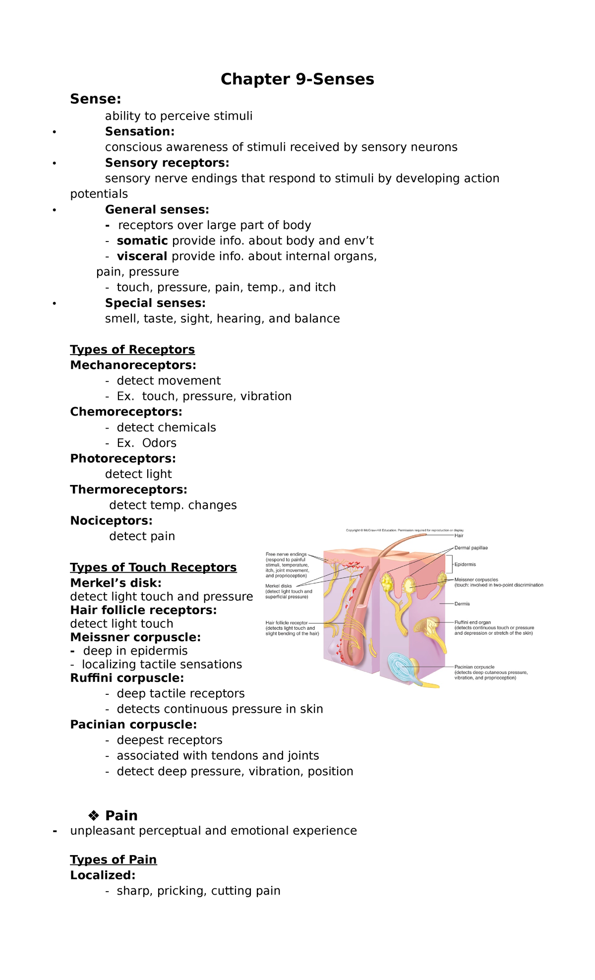 Seeley's essential anaphy chapter 9 - Chapter 9-Senses Sense: ability ...