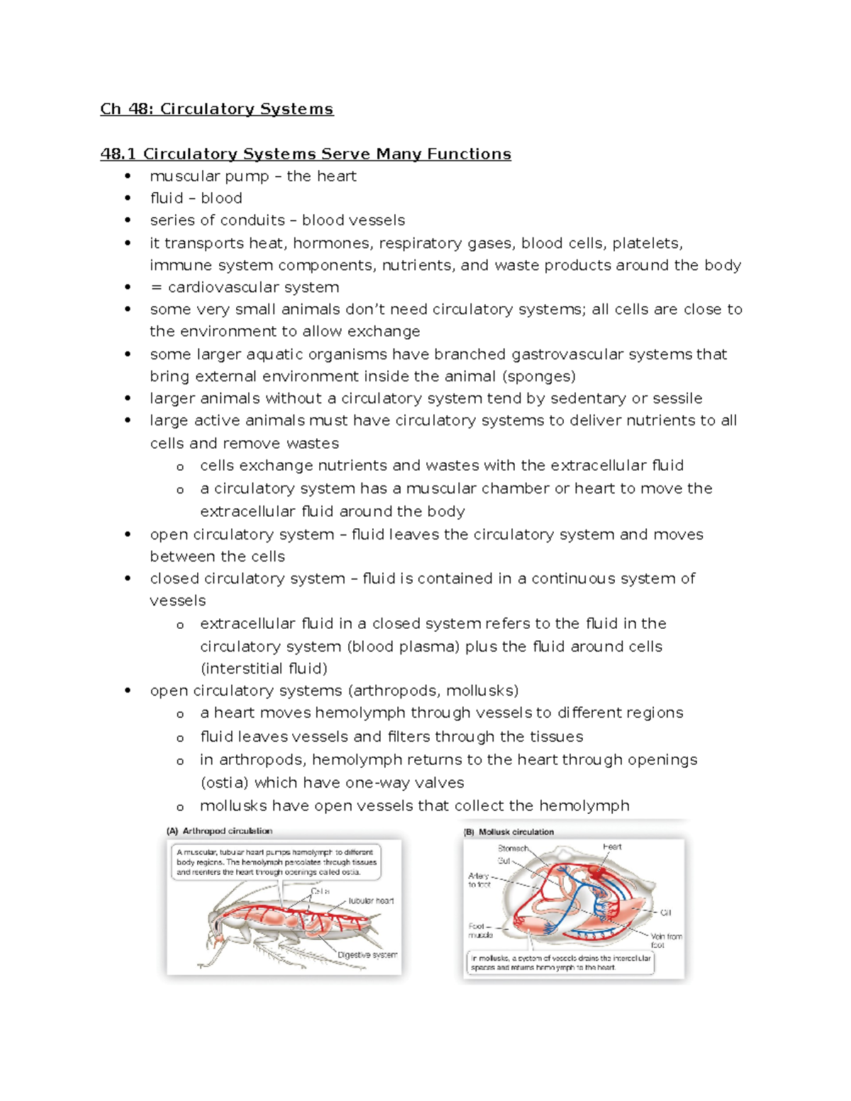 Ch 48 Circulatory System notes - Ch 48: Circulatory Systems 48 ...