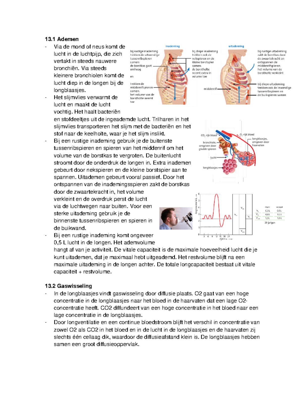 Biologie samenvatting H13 & H14 pdf - 13 Ademen Via de mond of neus ...