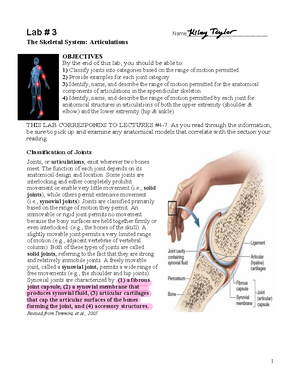 Lab7a Forearm and hand muscles - Lab #7 Name__________________ MUSCULAR ...