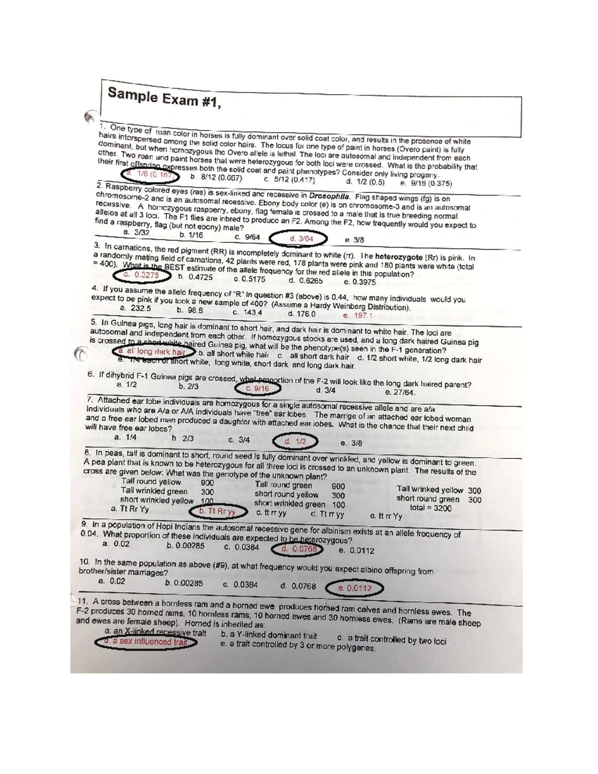 Sample Exam 1 - CHEM5342 - Studocu