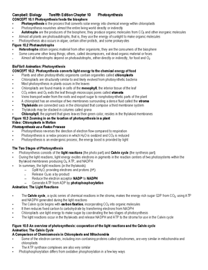 Chapter 7 - Study guide - Chapter 7: Membrane Structure and Function ...