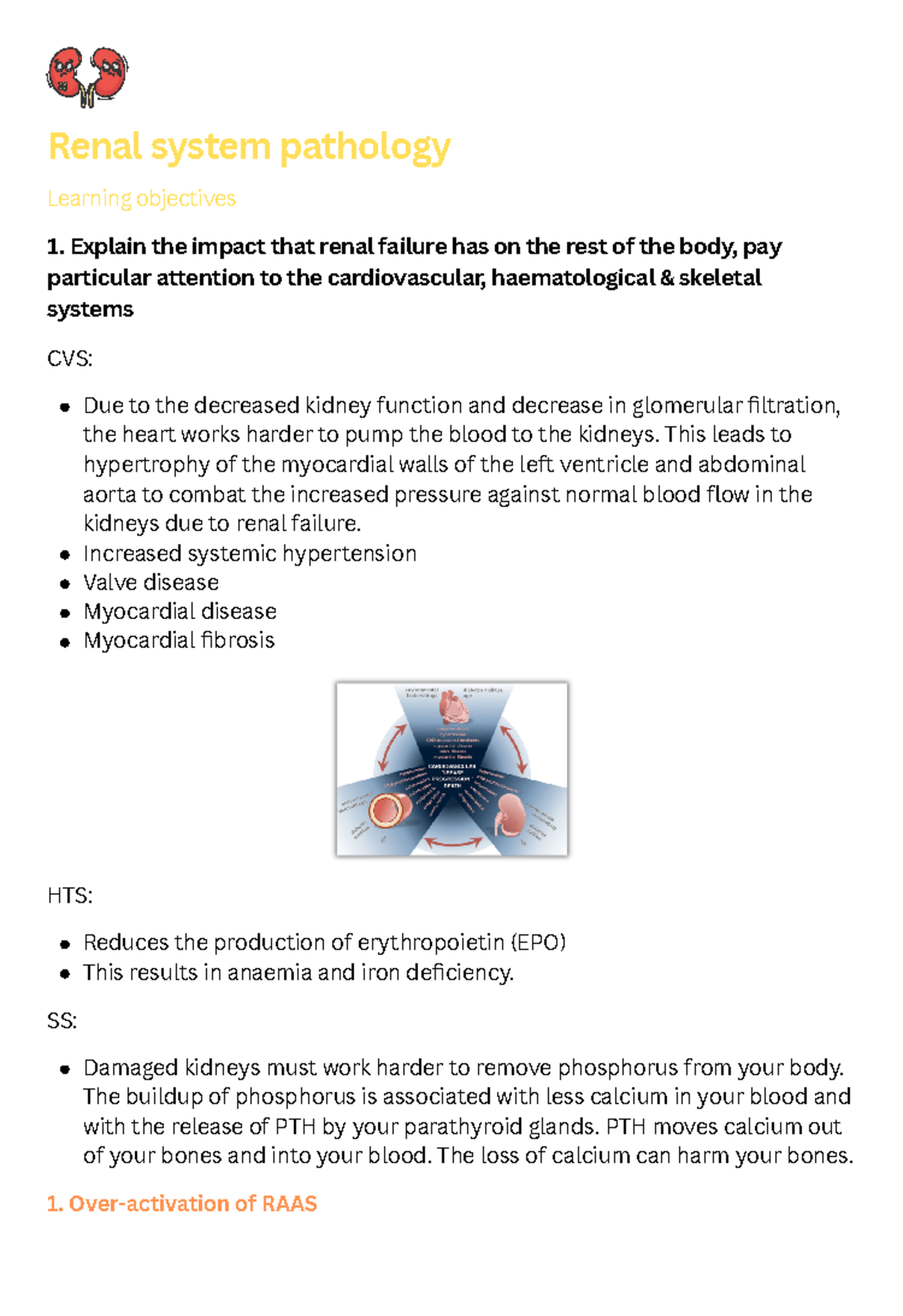 RSP - Learning objectives for renal system path - Renal system ...