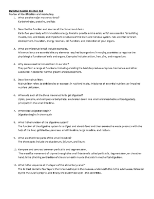 Copy of Digestive System Practice Test - Google Docs - Digesve System ...