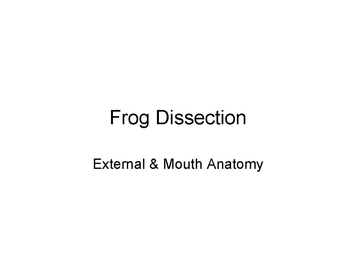 Frog external dissection - Frog Dissection External & Mouth Anatomy ...