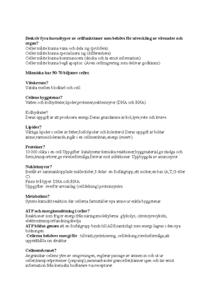 Urinsystemet - NJURARNA BEGREPP DELAR Njure - Ren Urinledare - Ureter ...